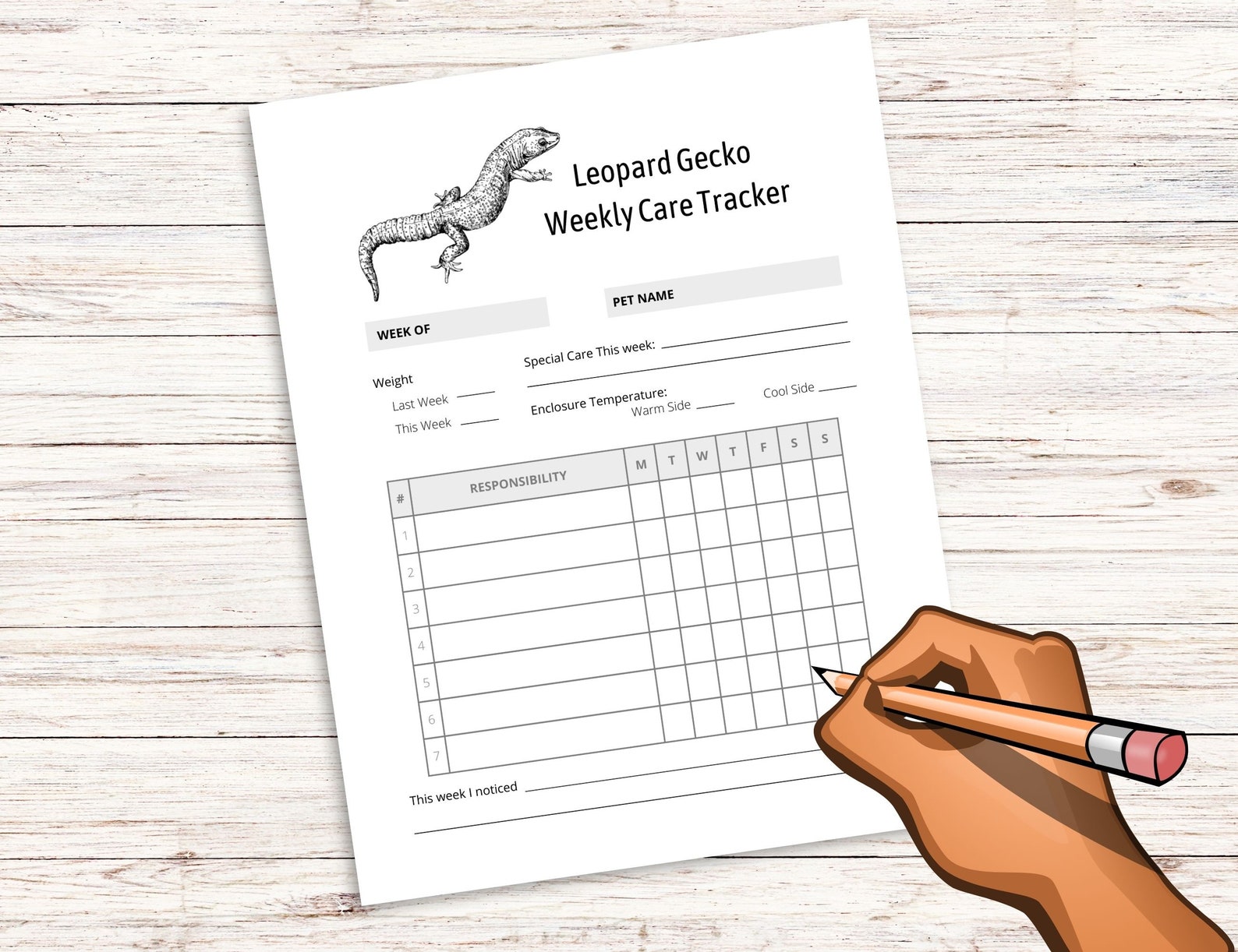 Reptile Chore Chart Leopard Gecko Care Tracker Pet Feeding - Etsy