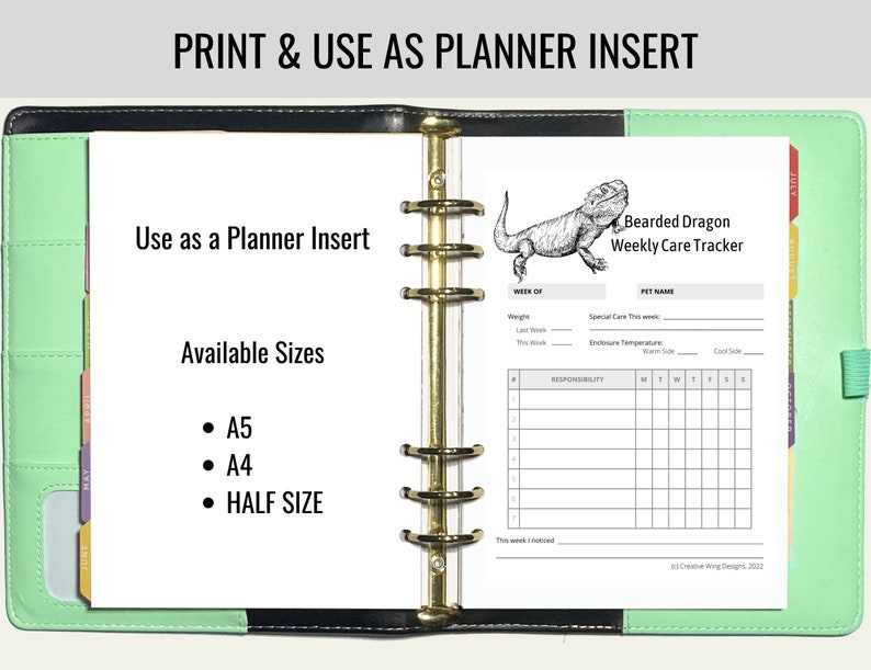 Reptile Chore Chart, Bearded Dragon Care Tracker, Pet Feeding Log ...