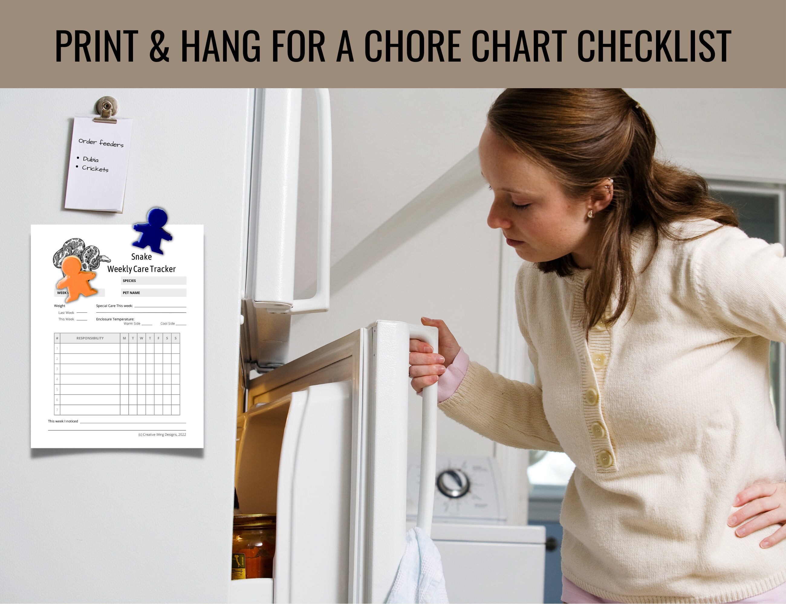 Snake Care Tracker, Reptile Chore Chart, Responsible Pet Owner Care ...