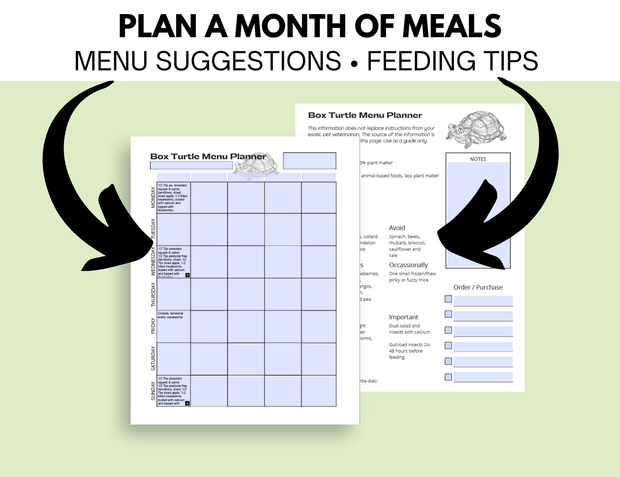 Box Turtle Menu Planner, Reptile Live Feeding Log, Planner Insert ...