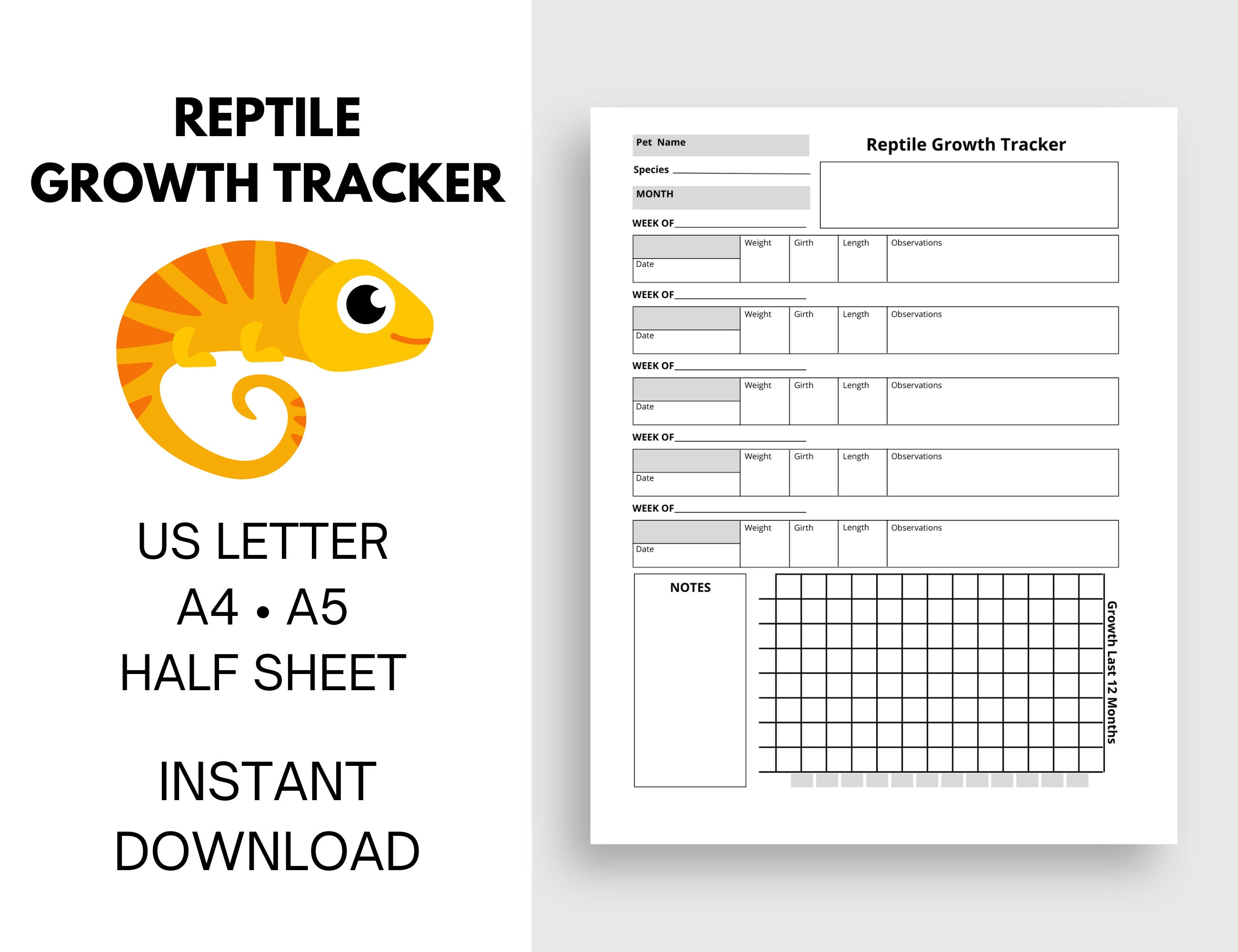 Reptile Growth Tracker, Reptile Care Tracker, Pet Planner Insert - Etsy