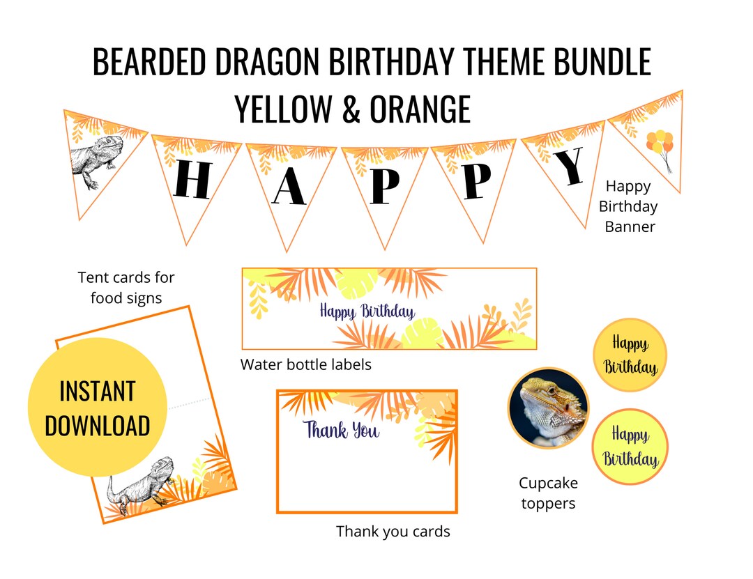 Bearded Dragon Birthday Party Bundle Yellow and Orange, Reptile Party ...