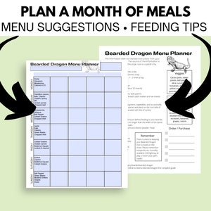 Bearded Dragon Menu Planner, Reptile Live Feeding Log, Planner Insert ...