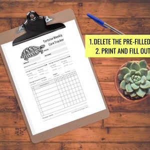 Reptile Chore Chart, Tortoise Care Tracker, Pet Feeding Log Planner ...
