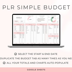 PLR Budget Template for Google Sheets Master Resell Rights Commercial ...