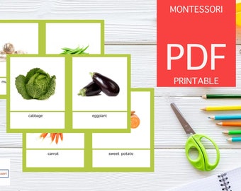 Montessori Continents Three Part Learning Card Homeschool | Etsy