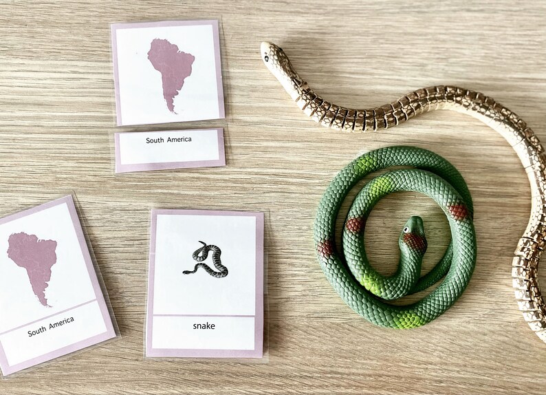 Montessori Continents Three Part Learning Card Homeschool | Etsy