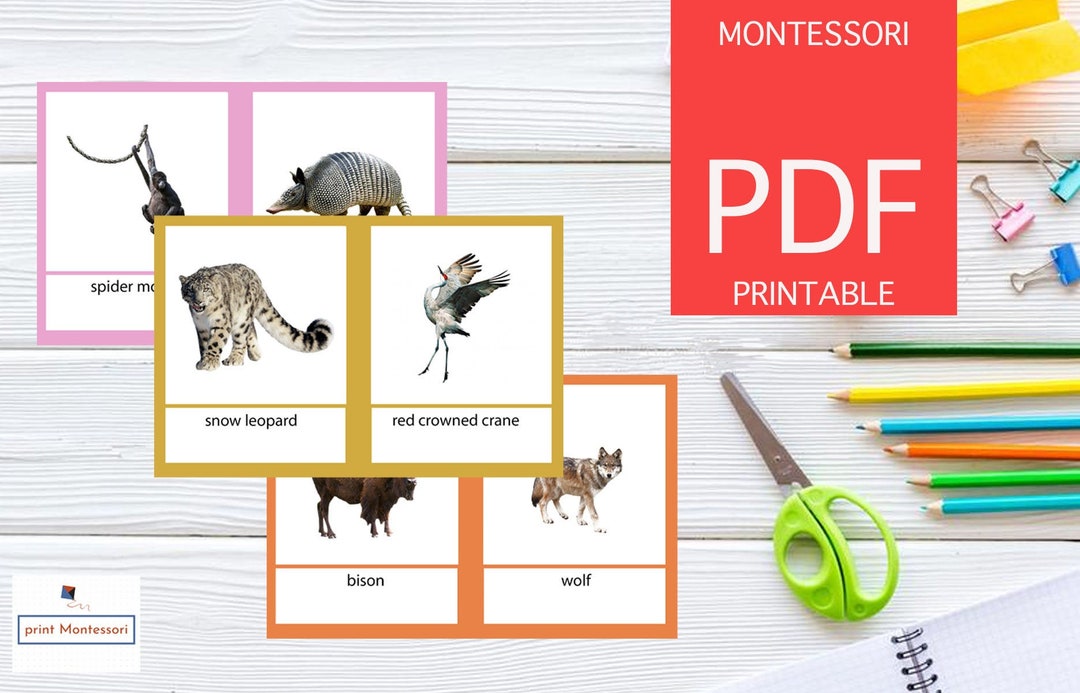 Montessori, Animals Three Part Learning Card, Homeschool, Printable PDF ...