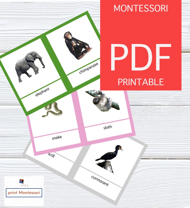 Montessori, Animals Three Part Learning Card, Homeschool, Printable PDF ...
