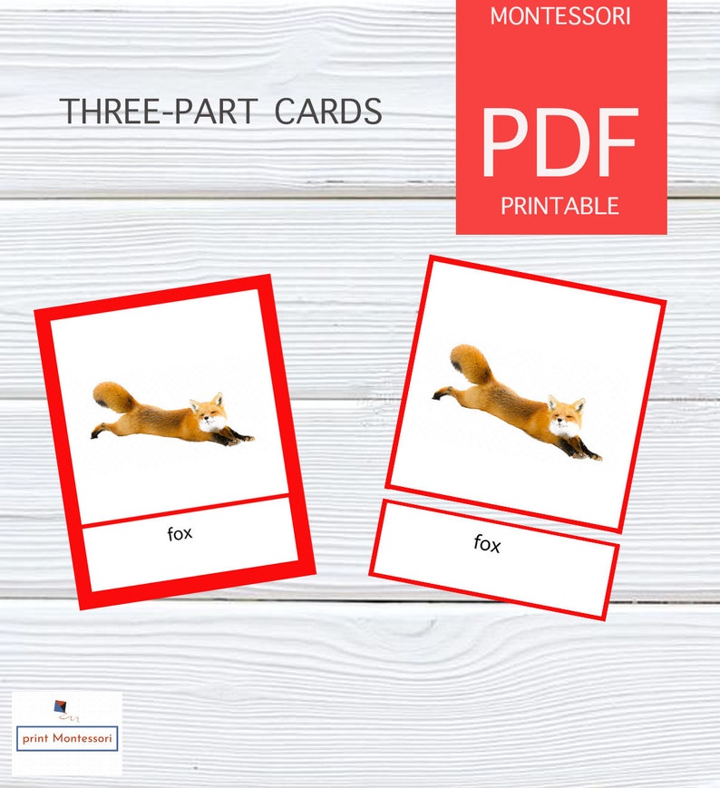 Montessori, Animals Three Part Learning Card, Homeschool, Printable PDF ...