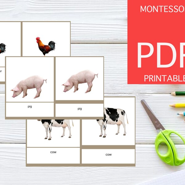 Montessori Three Part Card - Etsy