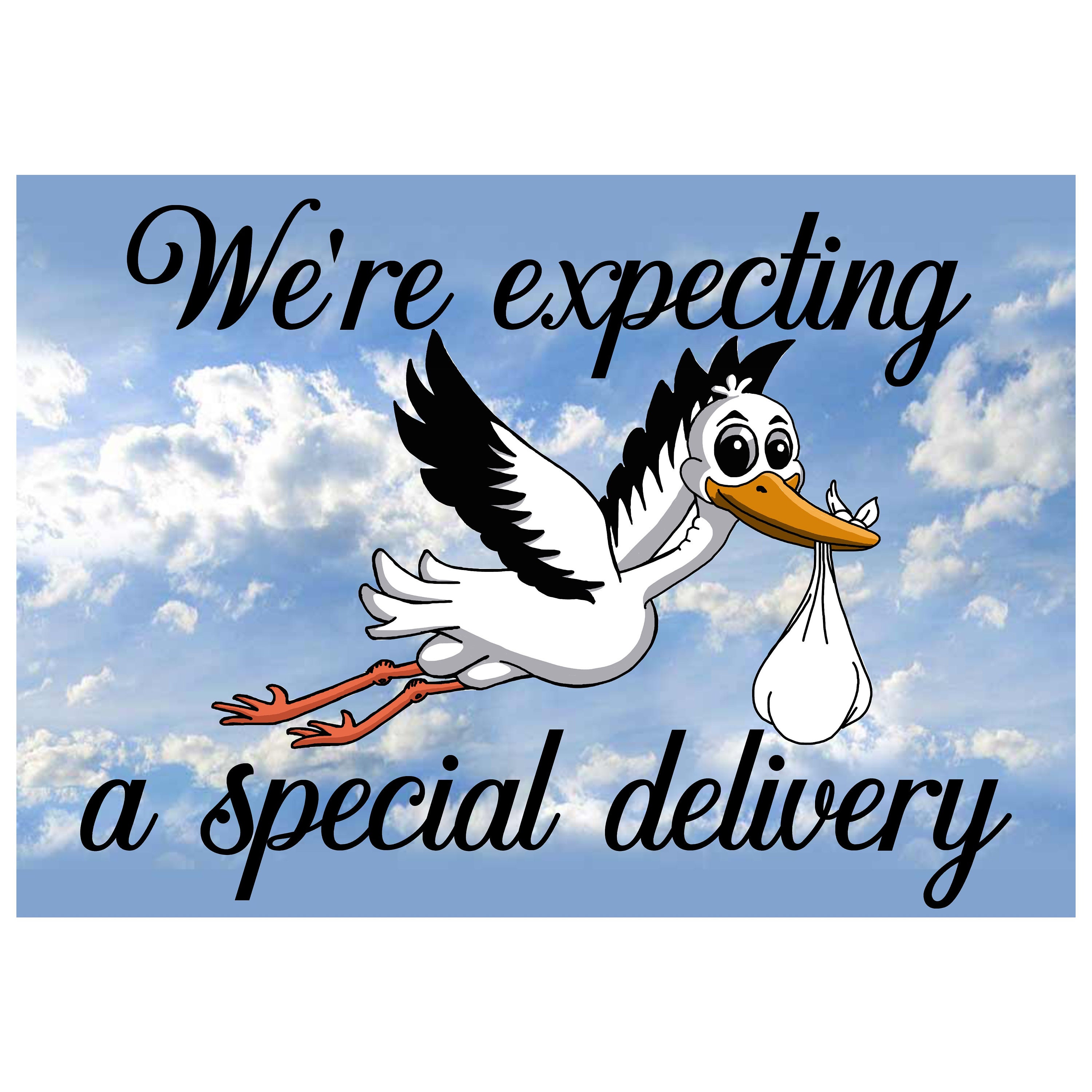 Babysaurus T-rex Pregnancy Announcement Baby Grow Gift / Dinosaur ...