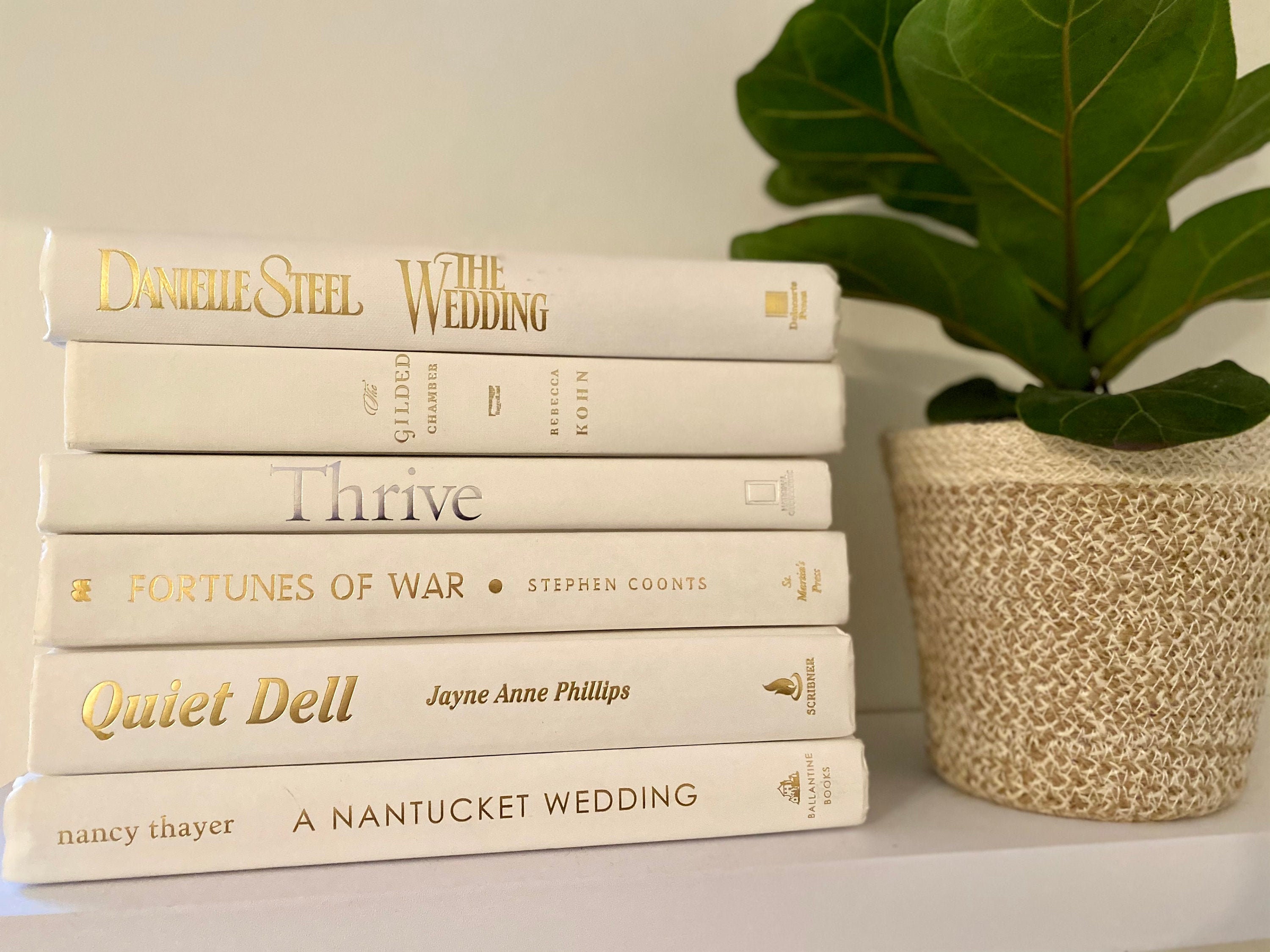 All White Book Bundle Libros decorativos para decoración blanco y ...