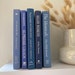 Denim Book Bundle - Decorative Books for Decor (blue, Light Blue) - Etsy