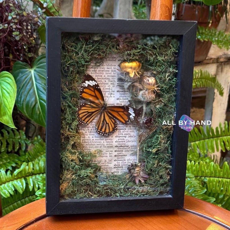 Real Butterfly Framed - Etsy