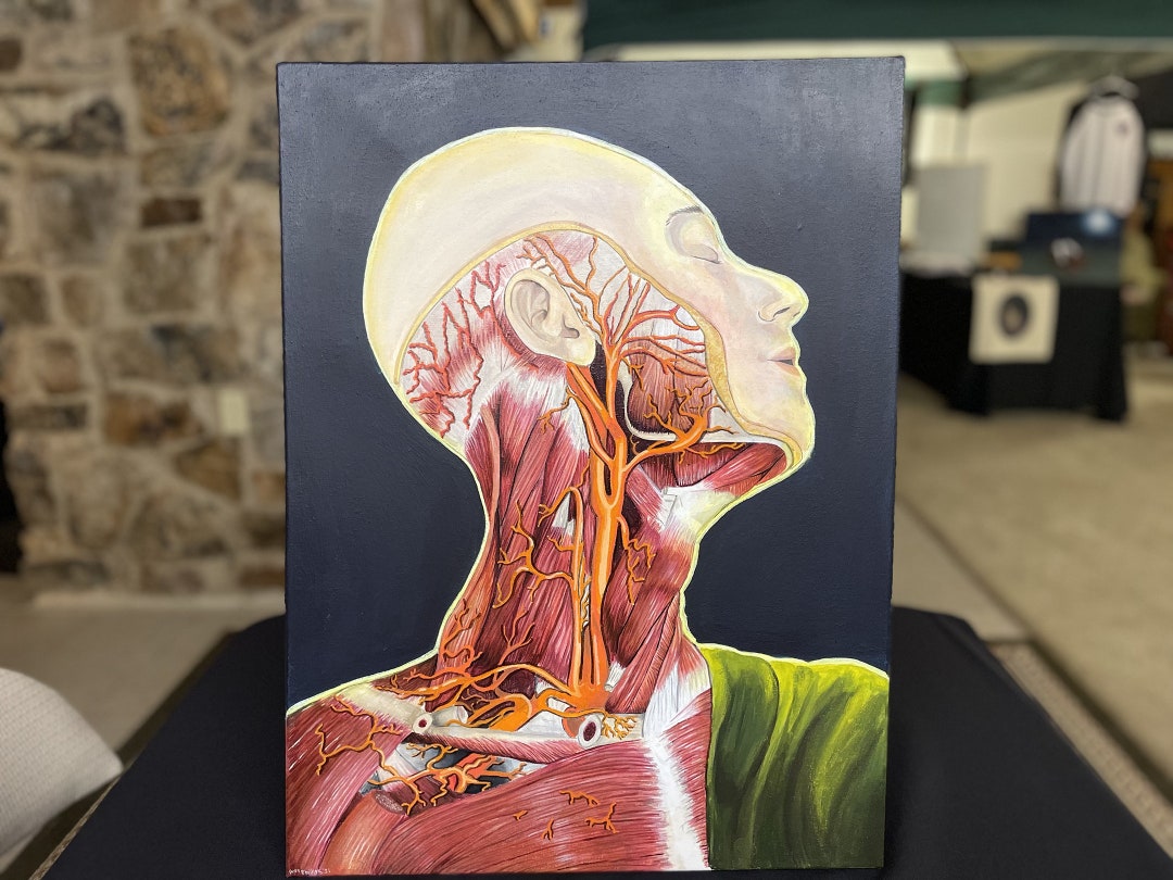 Anatomy Art Print - Etsy