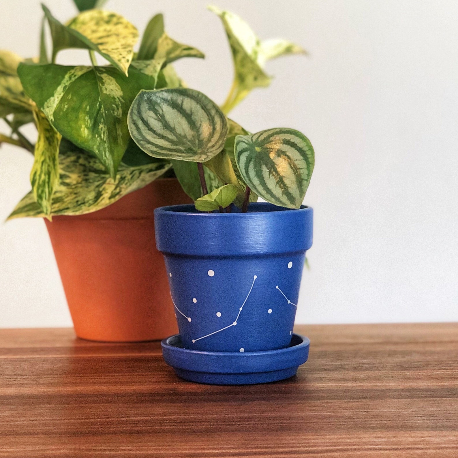 Constellation Planter Pot Navy or Galaxy Hand Painted - Etsy