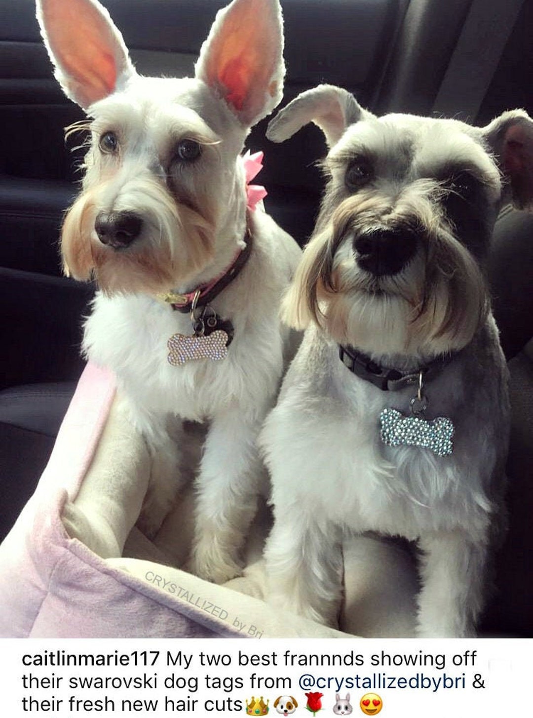 Austrian Crystal Personalized Pet ID Tag Bling Dog Cat Collar ...