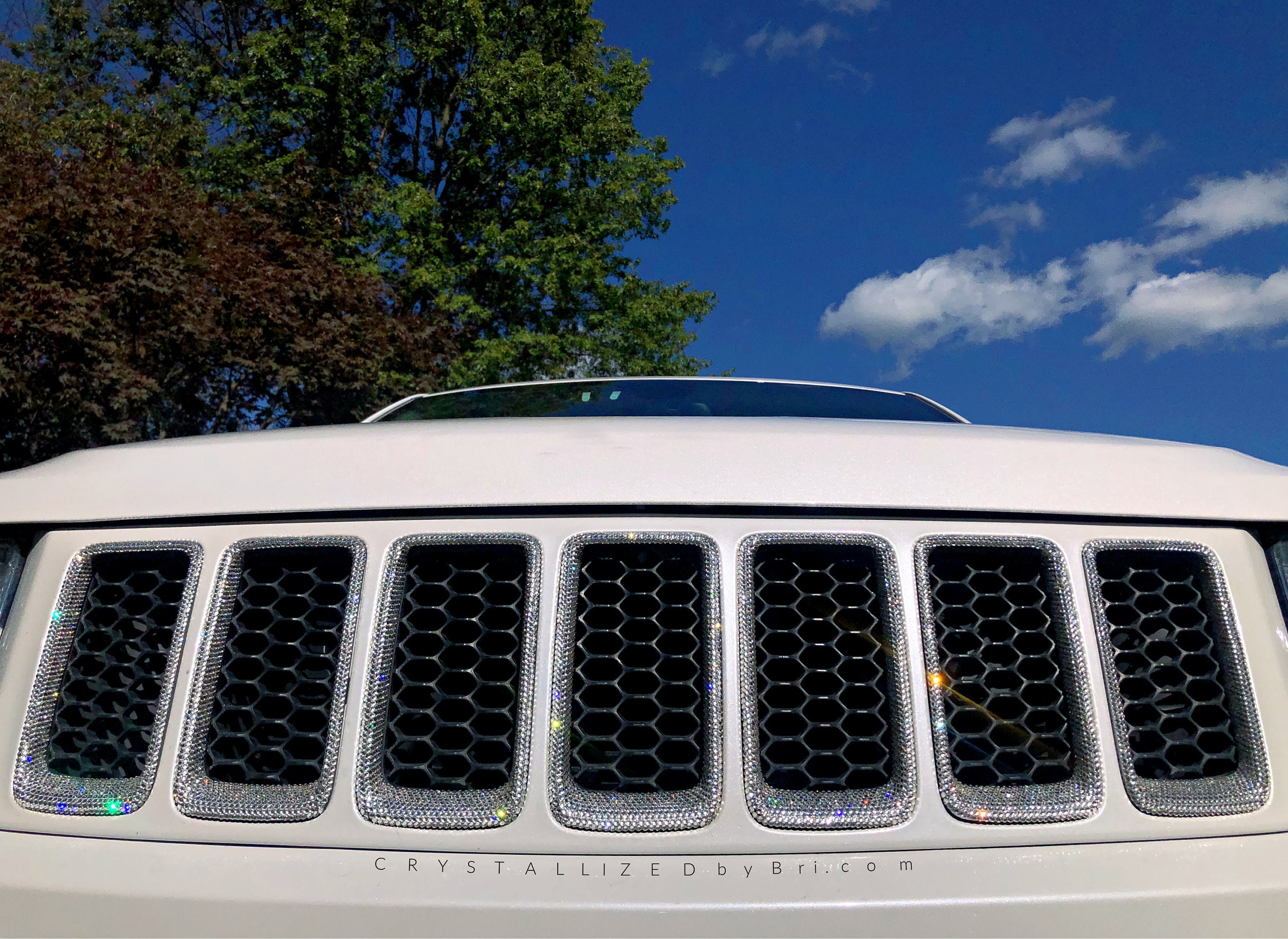 Austrian Crystal Custom Car Grille Inserts Bling Bedazzled Auto ...