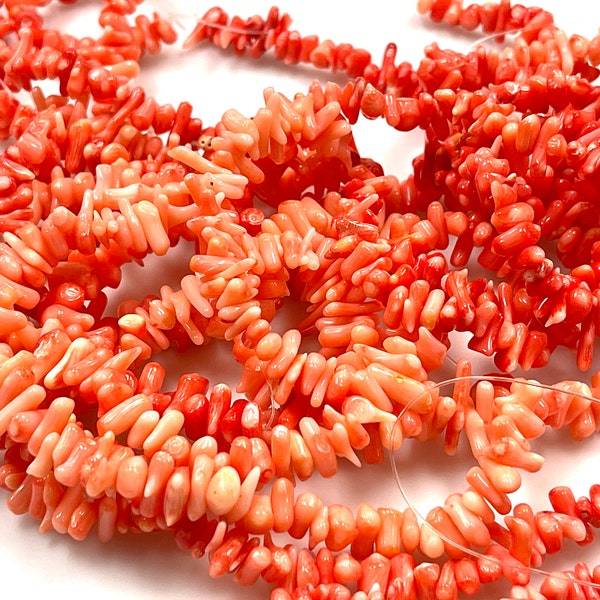 Coral Chips - Etsy