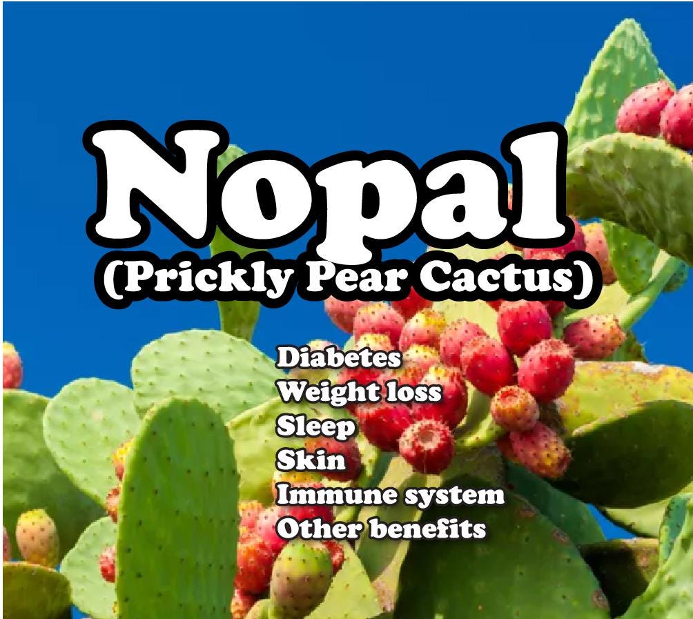 Nopal, Prickly Pear Cactus Opuntia - Etsy