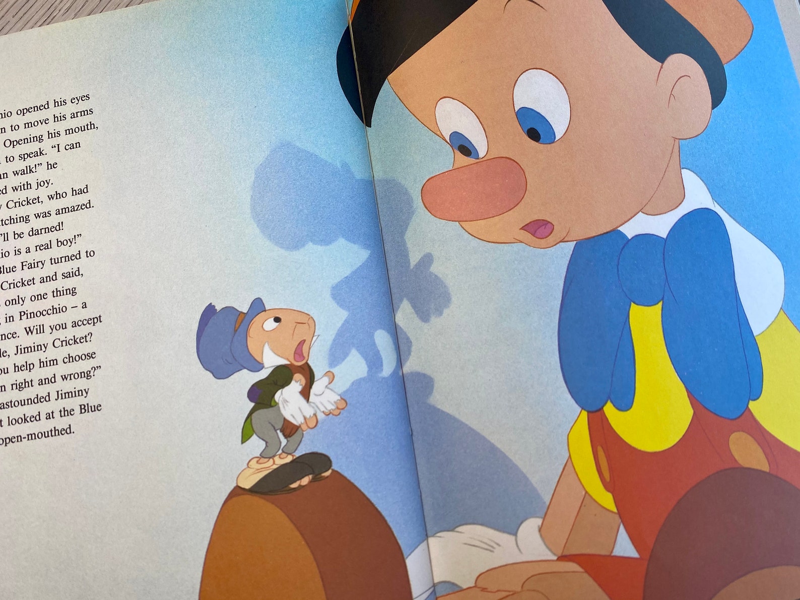 Disney's Pinocchio Book - Etsy