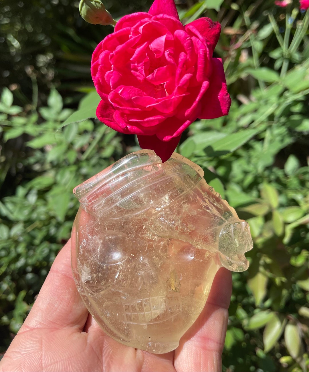 Spectacular Natural Brazilian Citrine Carved Palm Skull With Dragon - Etsy