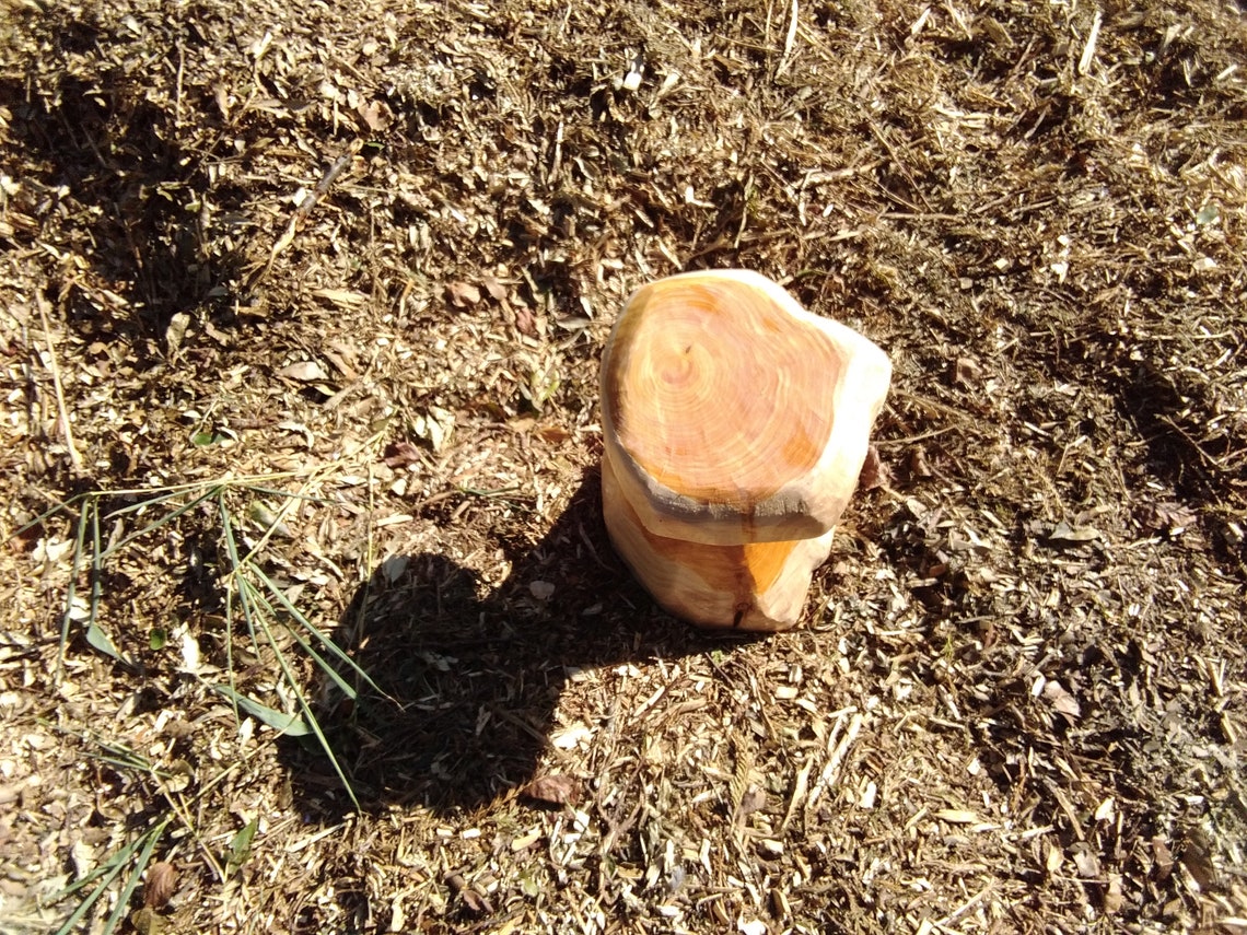 Mushroom Chair Chainsaw Carved - Etsy