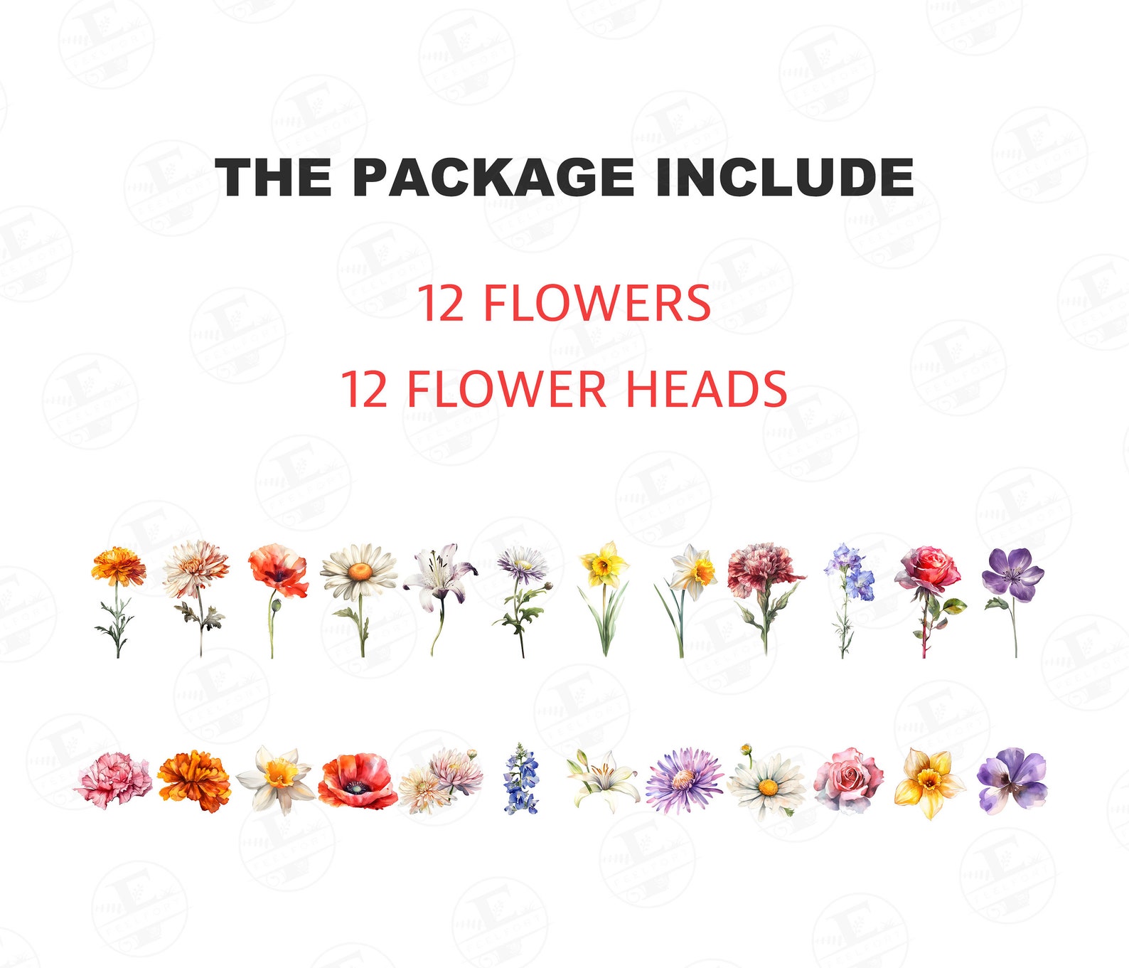 Birth Month Flowers Clipart Set Colorful Watercolor Floral PNG DIY ...