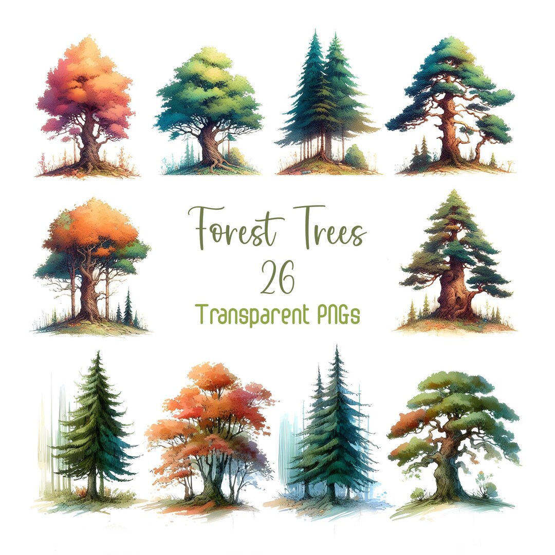 Watercolor Forest Trees Clipart Pine Trees PNG Pine Forest Woodland ...