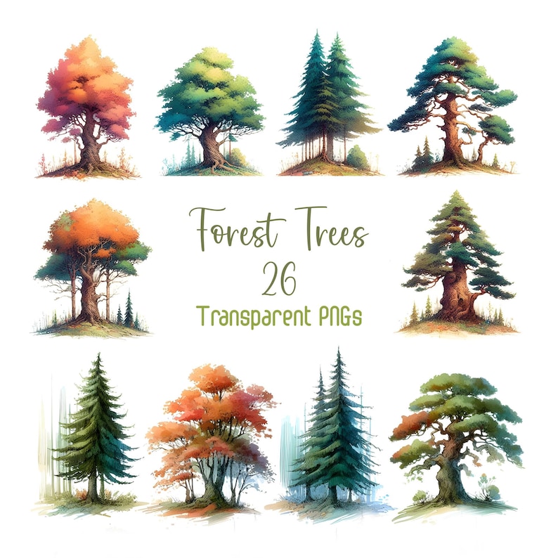Watercolor Forest Trees Clipart Pine Trees PNG Pine Forest Woodland ...