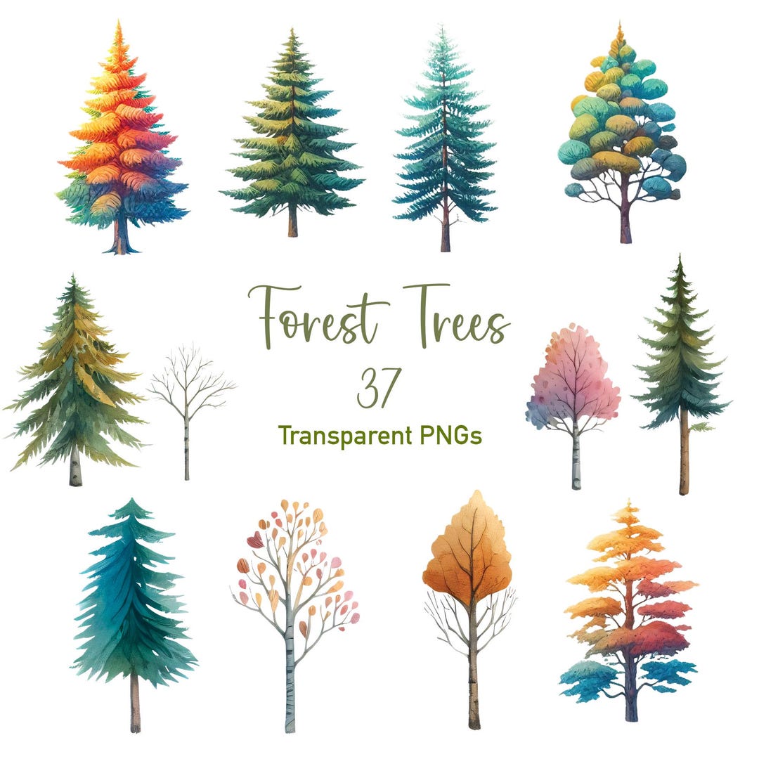 Watercolor Forest Trees Clipart Pine Trees PNG Pine Forest Woodland ...