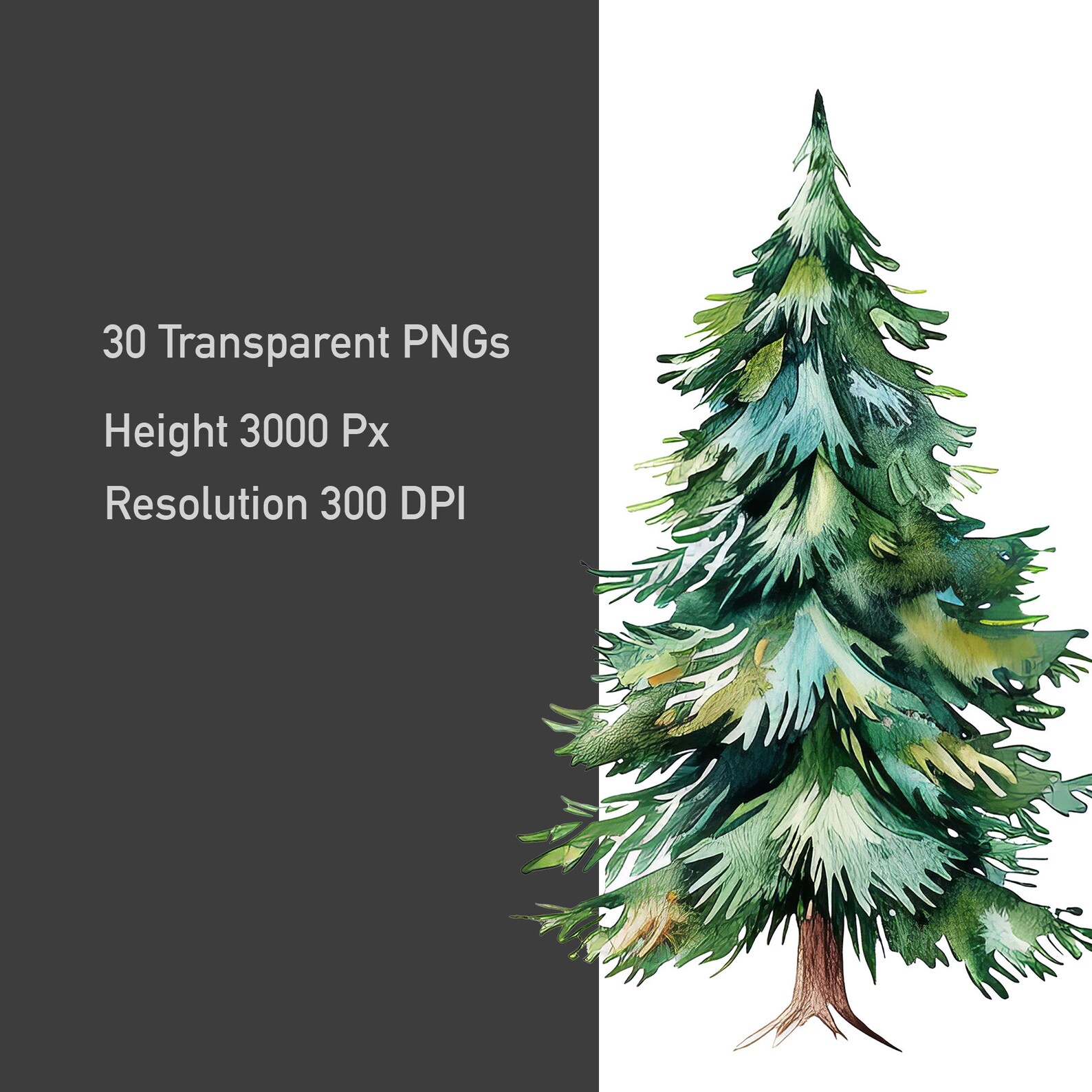 Watercolor Forest Trees Clipart Pine Trees PNG Pine Forest Woodland ...