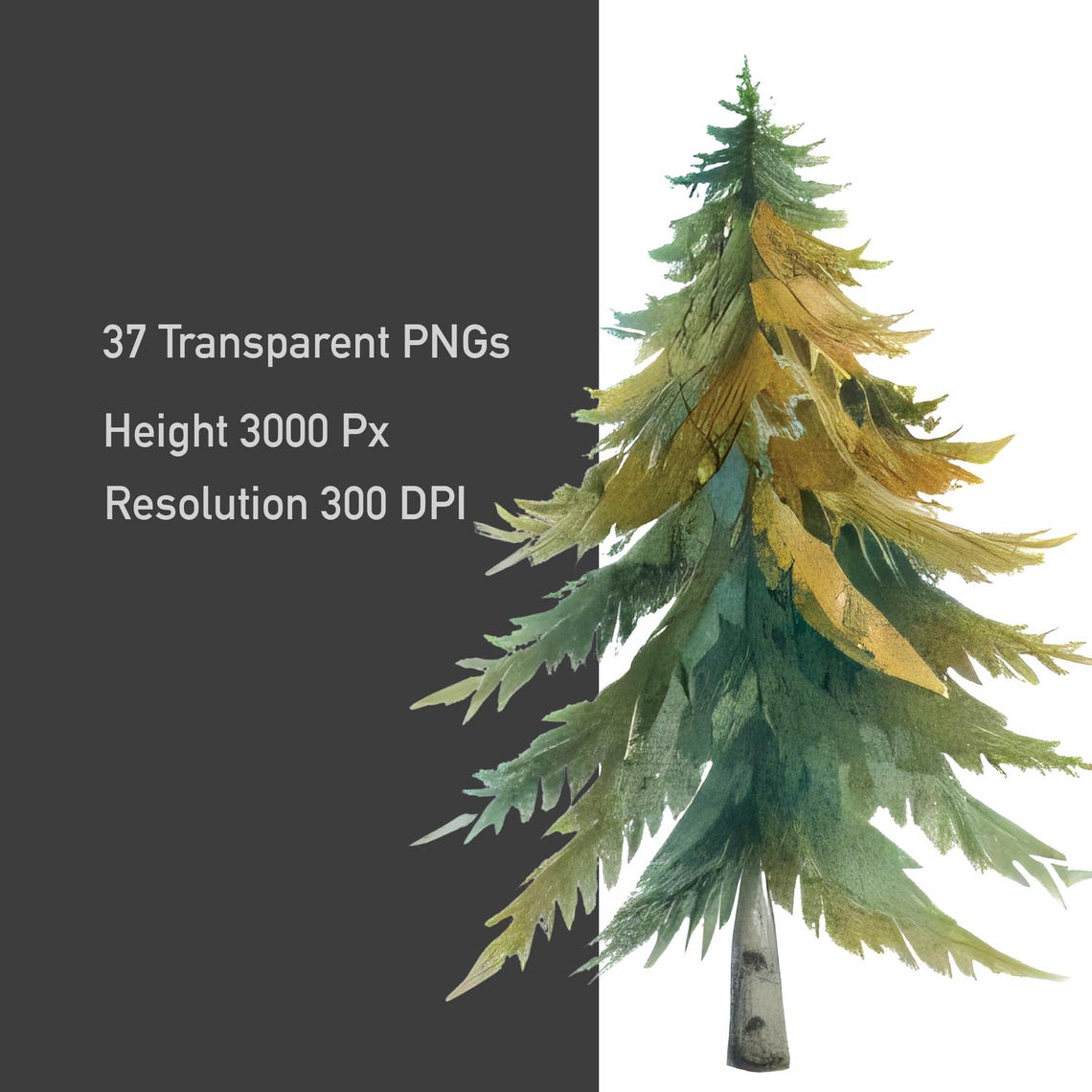 Watercolor Forest Trees Clipart Pine Trees PNG Pine Forest Woodland ...