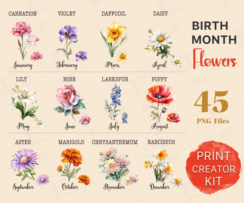 Birth Month Flowers Clipart Watercolor Floral PNG Bundle DIY - Etsy
