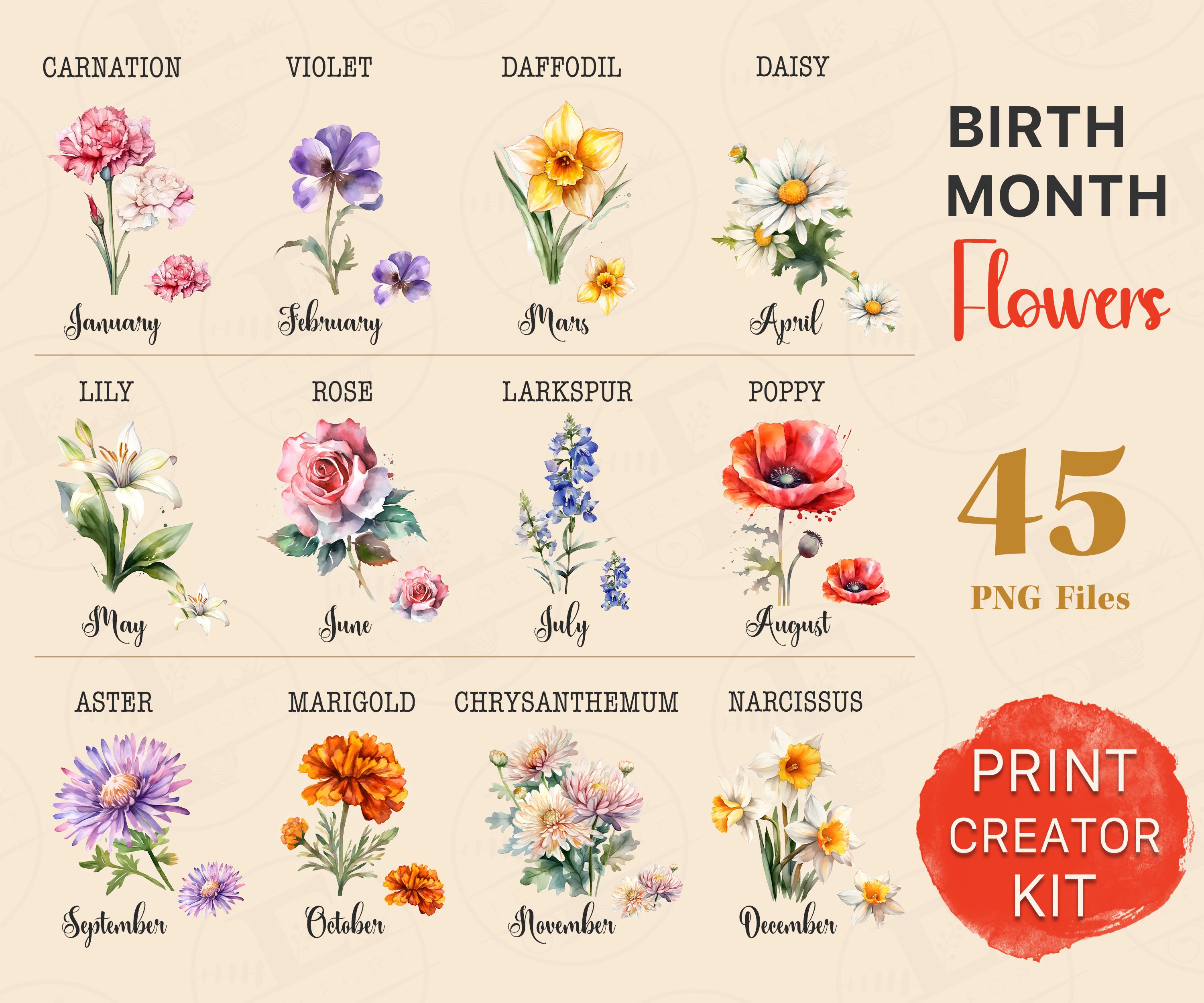 Birth Month Flowers Clipart Watercolor Floral PNG Bundle DIY - Etsy