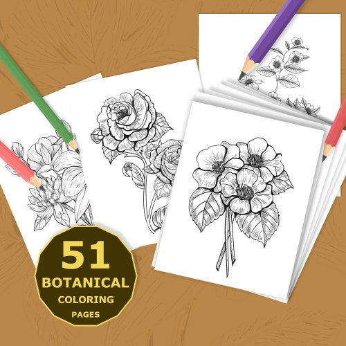Floral Coloring Pages for Adult 50 Pages Botanical Digital - Etsy