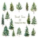 Watercolor Forest Trees Clipart Pine Trees PNG Pine Forest Woodland ...