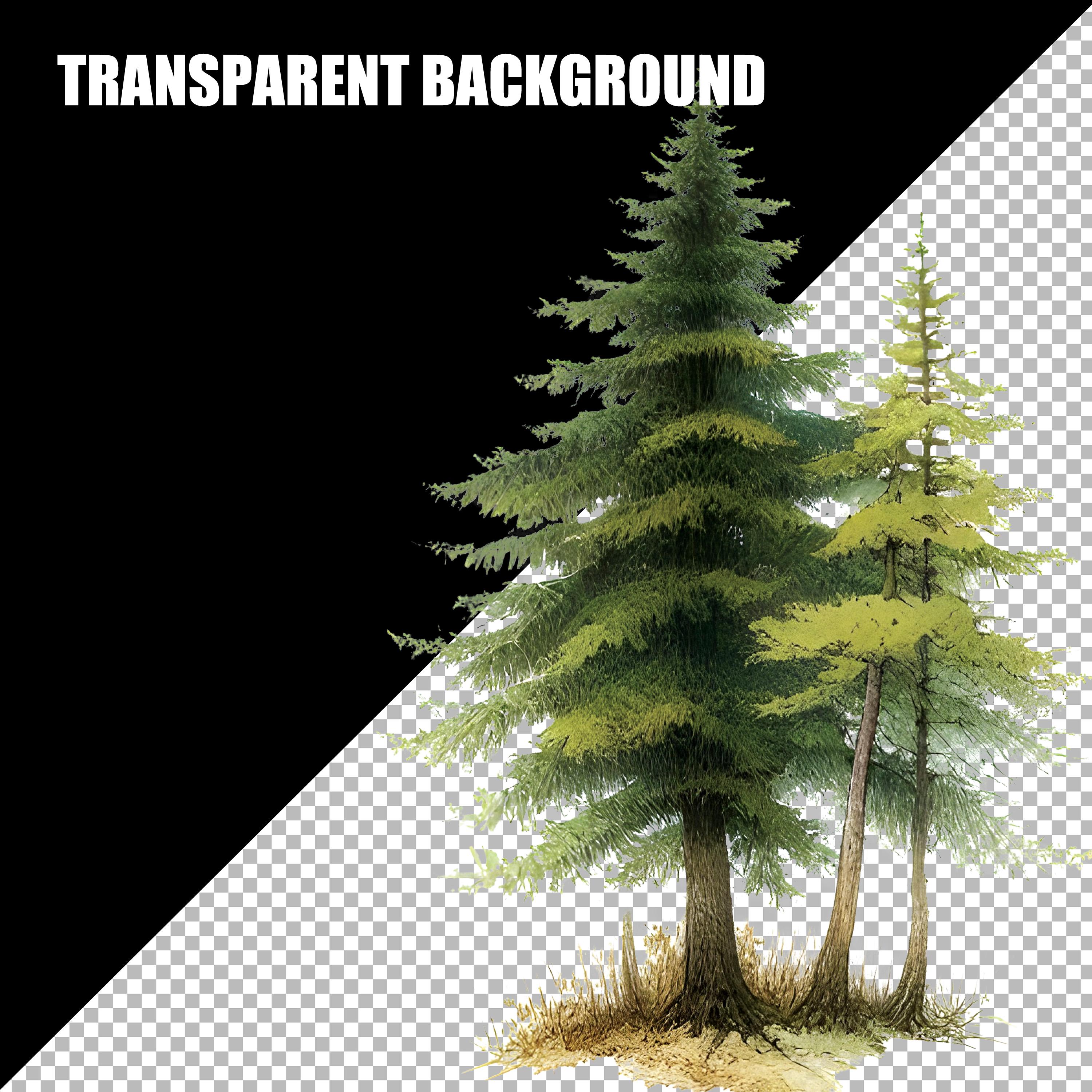 Watercolor Forest Trees Clipart Pine Trees PNG Pine Forest Woodland ...