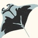 Manta Ray Embroidery Design - Etsy