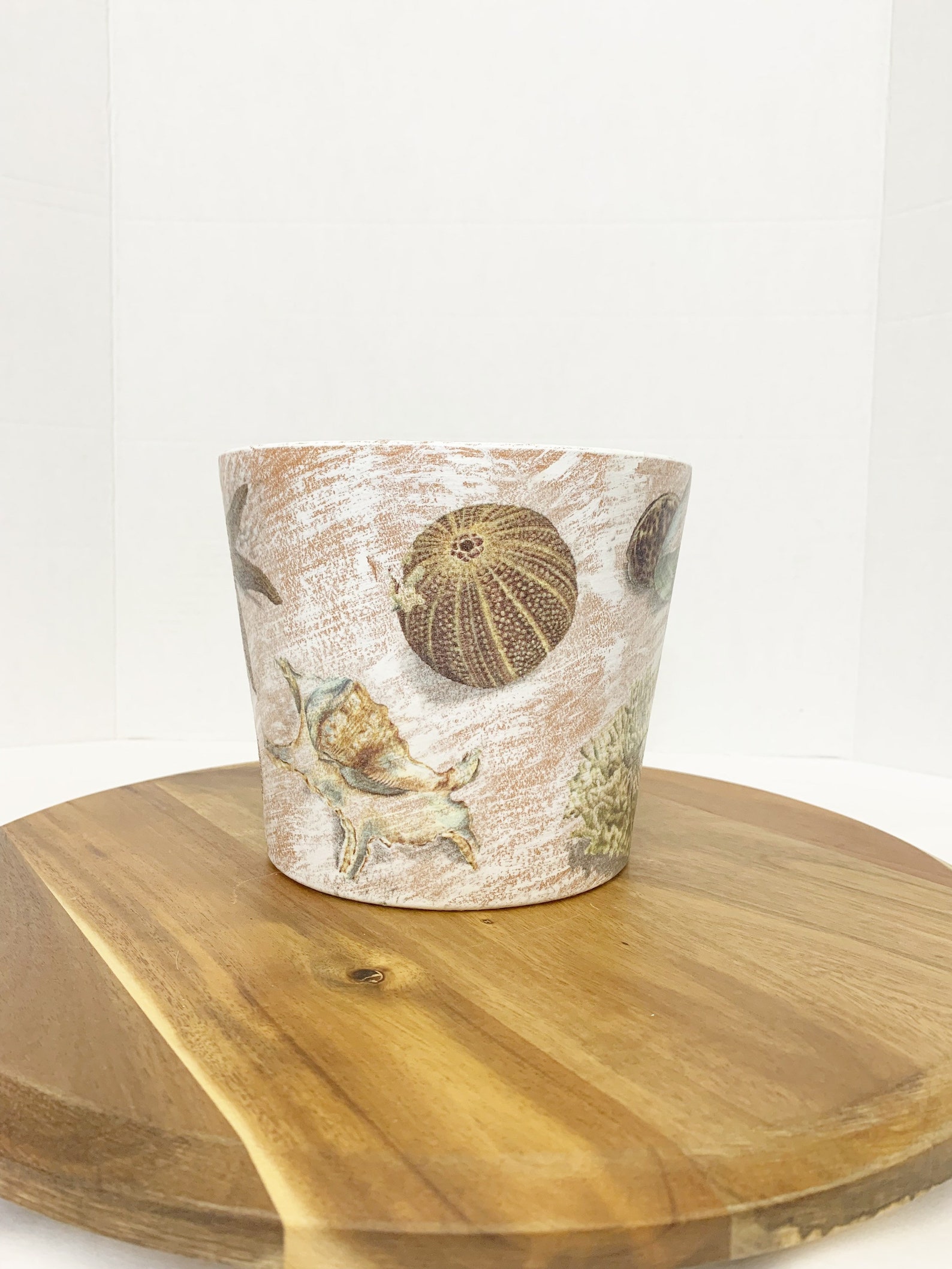 Decoupaged Seashells Garden Planter, Beach Flower Pot, Ocean Front ...