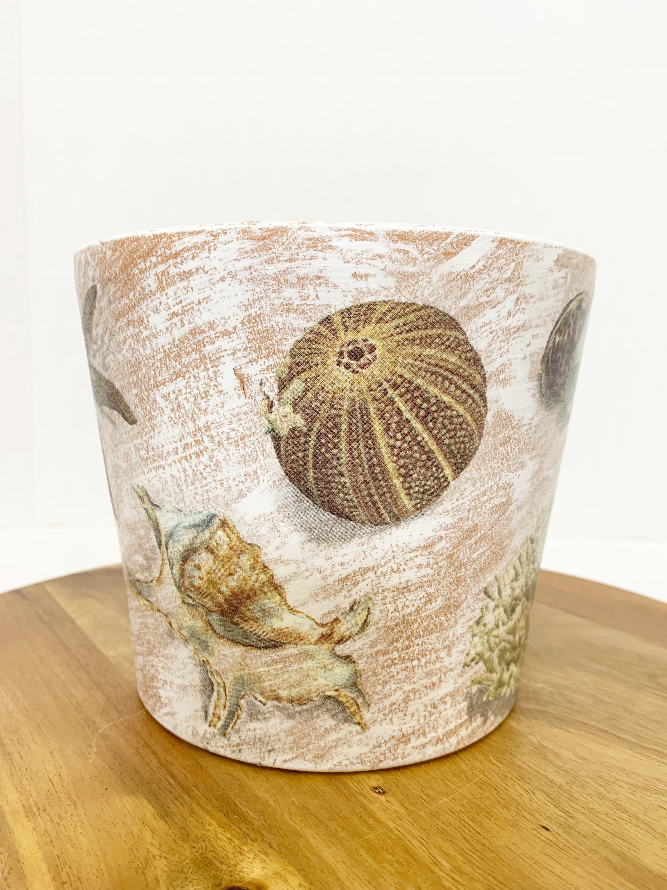 Decoupaged Seashells Garden Planter, Beach Flower Pot, Ocean Front ...
