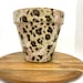 Decoupaged Leopard Print Garden Planter, Animal Print Flower Pot ...