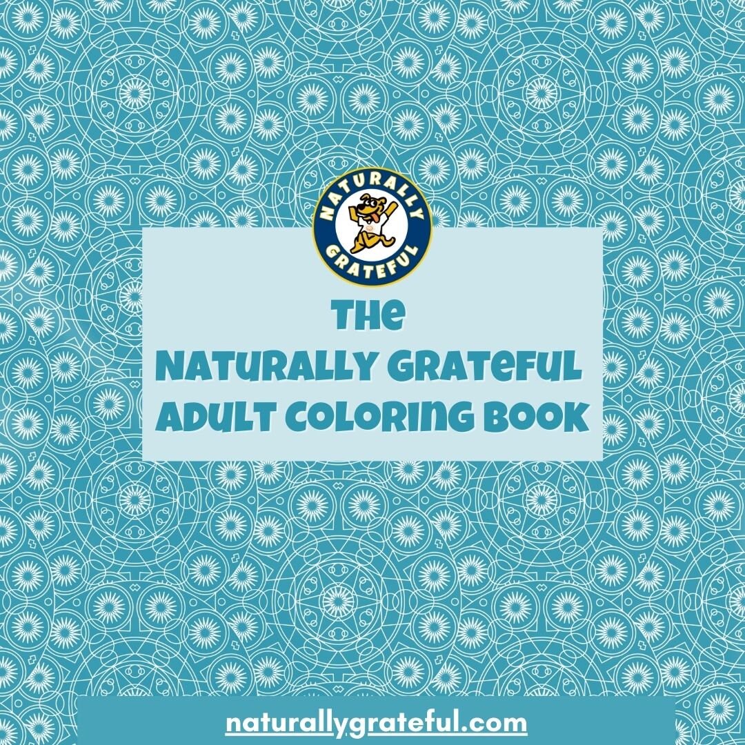 Mandala Meditation Coloring Pages Gratitude & Kindness Download and ...