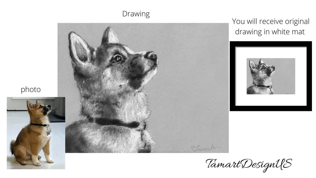 Custom Pet Hand Drawing, Pet Portrait, Photo to Graphite/charcoal ...