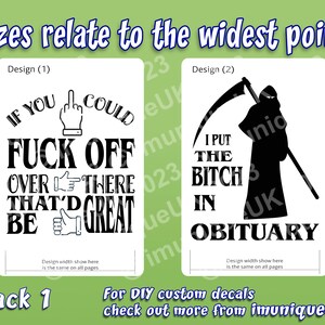 Rude Fun and Sarcastic DIY Iron on Decals HTV Heat Transfer Vinyl for T ...