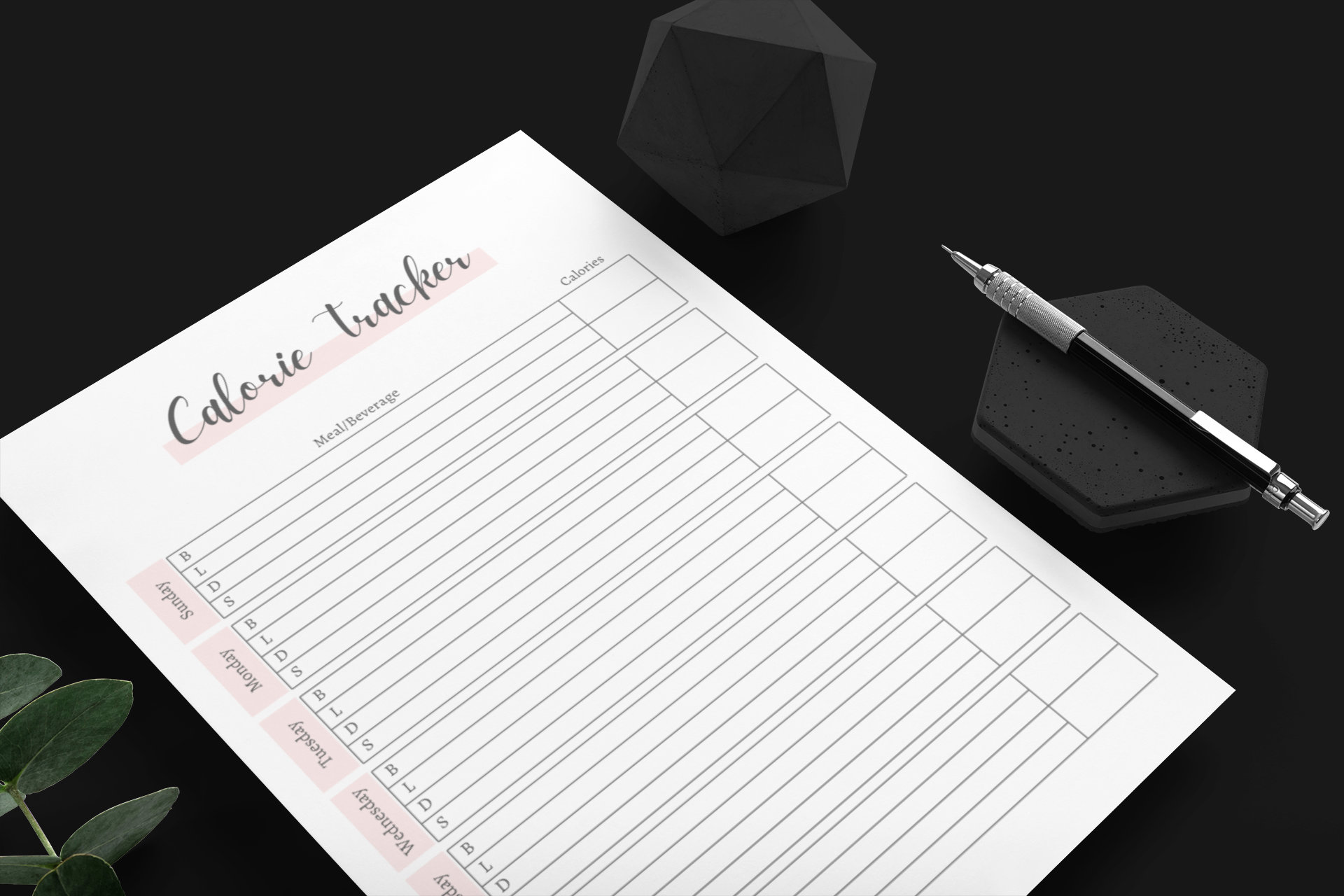 Calorie Tracker Diet Log Schedule Instant Download PDF - Etsy