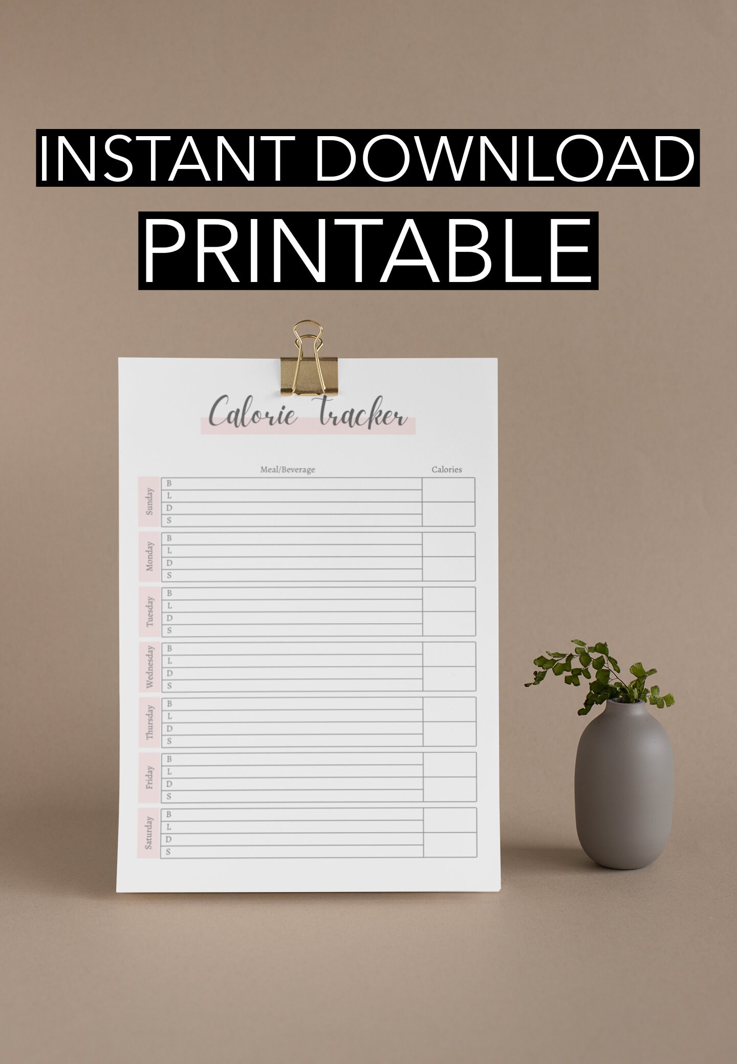 Calorie Tracker | Diet Log Schedule | Instant Download | PDF ...