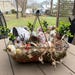 Chicken Wire Centerpiece - LARGE OPT 1 Comfort Colors, Kitchen, Dining ...
