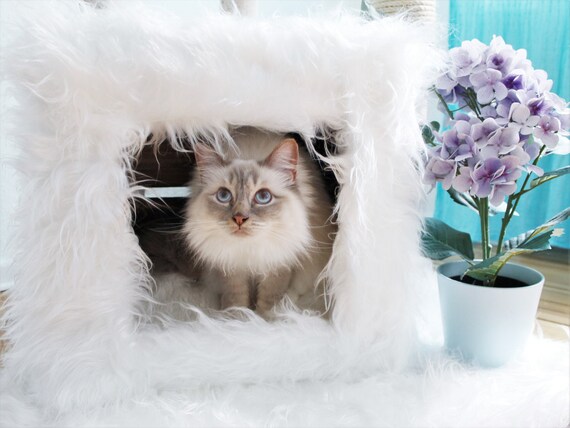 Cuddly Cat Cave for Every Cat Cuddly Cave With Plenty of - Etsy UK